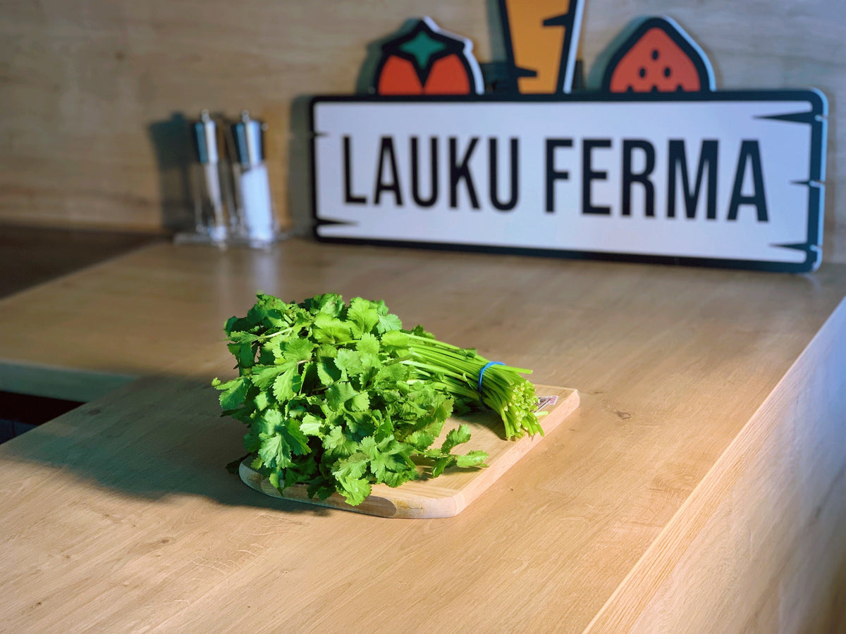 Kinza [ 1 bunte ] – Lauku Ferma